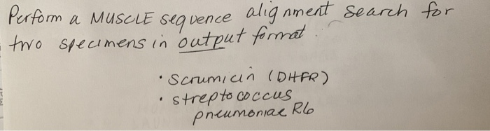 Perform a MUSCLE sequence alignment search for two | Chegg.com