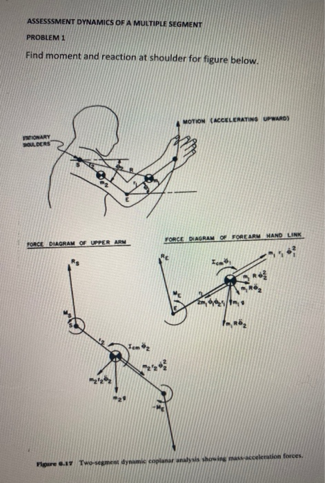 ASSESSSMENT DYNAMICS OF A MULTIPLE SEGMENT PROBLEM 1 | Chegg.com