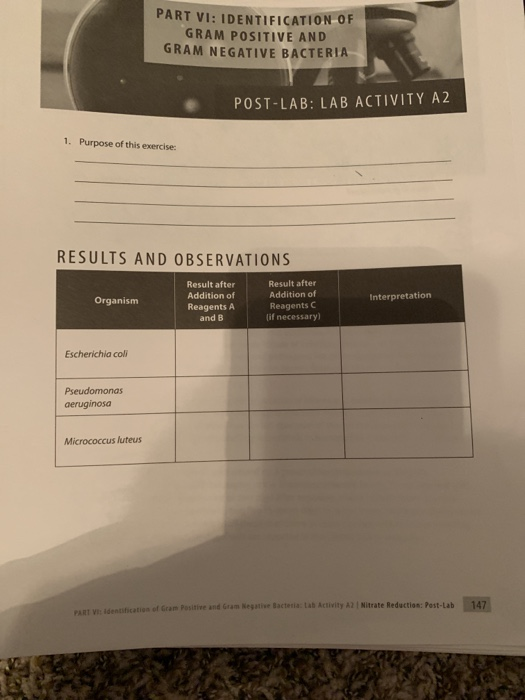 Solved PART VI: IDENTIFICATION OF GRAM POSITIVE AND GRAM | Chegg.com