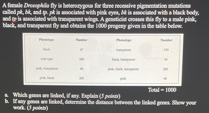 Solved A female Drosophila fly is heterozygous for three | Chegg.com