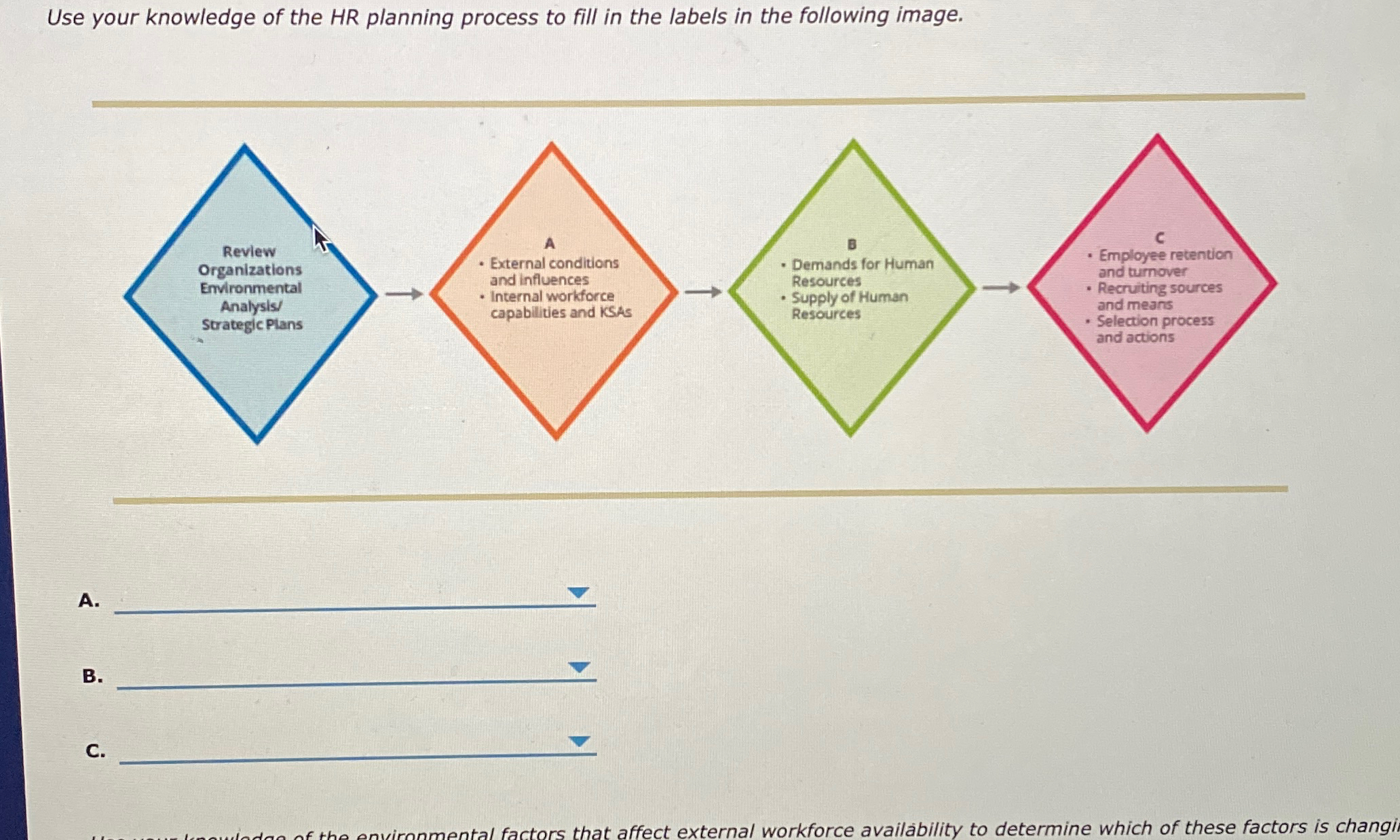 Solved Use your knowledge of the HR planning process to fill | Chegg.com