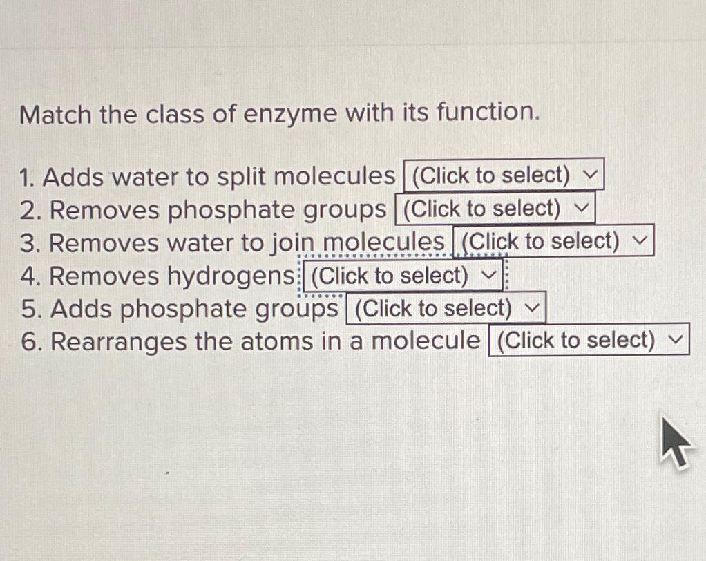 Solved Match the class of enzyme with its function.Adds | Chegg.com