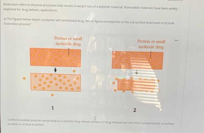 Solved Bioerosion refers to physical processes that results | Chegg.com
