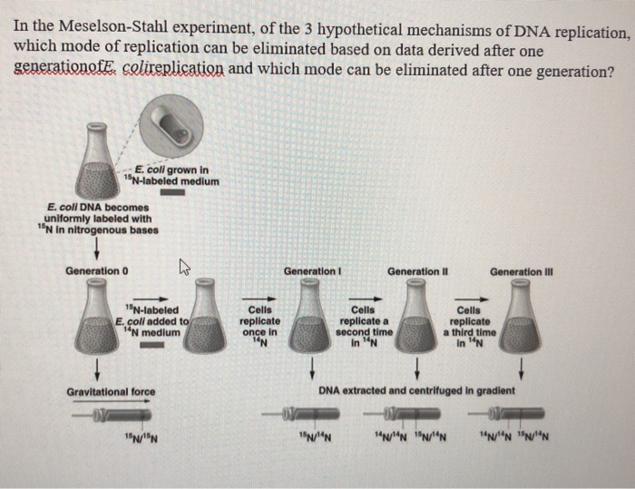 Solved 1. explain how schnos & inman experimentally | Chegg.com