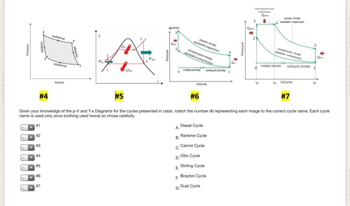 Solved What is occurring from 3-4 in the image above? | Chegg.com