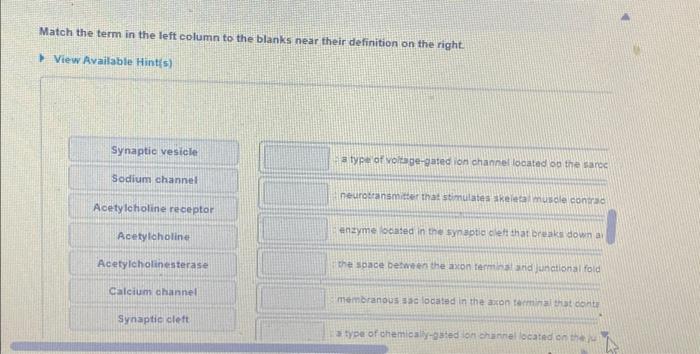 Solved Match the term in the left column to the blanks near | Chegg.com
