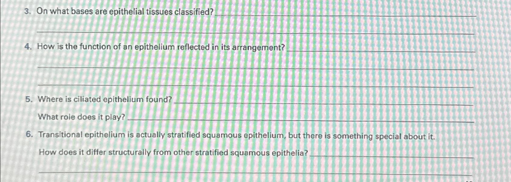 Solved On what bases are epithelial tissues classified?How | Chegg.com