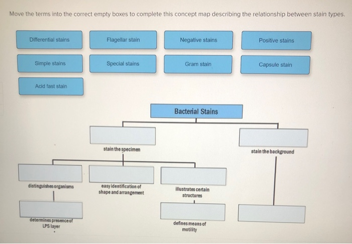 Solved Move the terms into the correct empty boxes to | Chegg.com