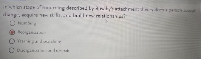 Solved In which stage of mourning described by Bowlby's | Chegg.com