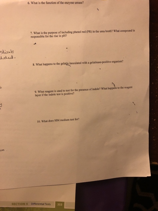 Solved 6. What is the function of the enzyme urease? 7. What | Chegg.com