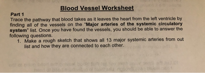 Solved Blood Vessel Worksheet Part 1 Trace the pathway that | Chegg.com