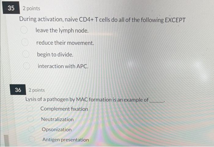 Solved During activation, naive CD4 +T cells do all of the | Chegg.com