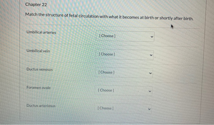 Solved Chapter 22 Match the structure of fetal circulation | Chegg.com