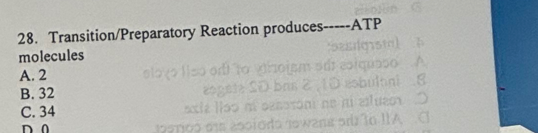 Solved Transition/Preparatory Reaction produces-----ATP | Chegg.com