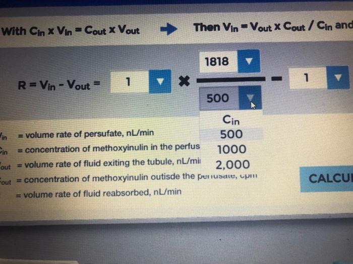 Solved REABSORBED FLUID RATE With Cin X Vin = Cout X Vout | Chegg.com