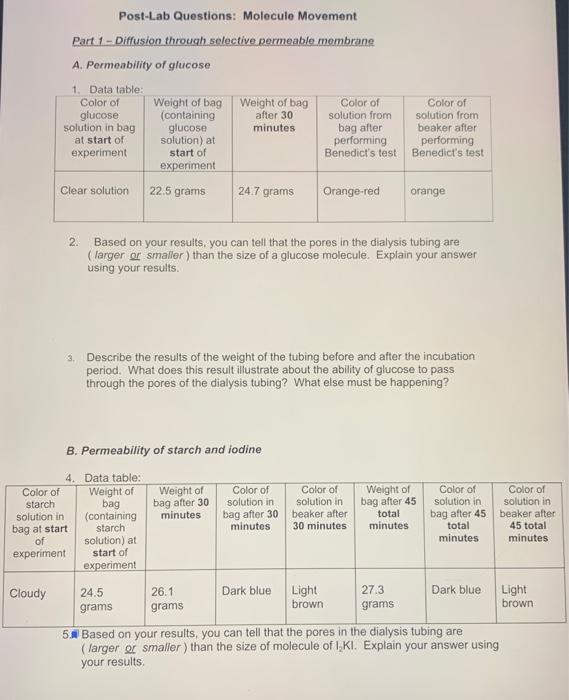 Solved Post-Lab Questions: Molecule Movement Part 1 - | Chegg.com