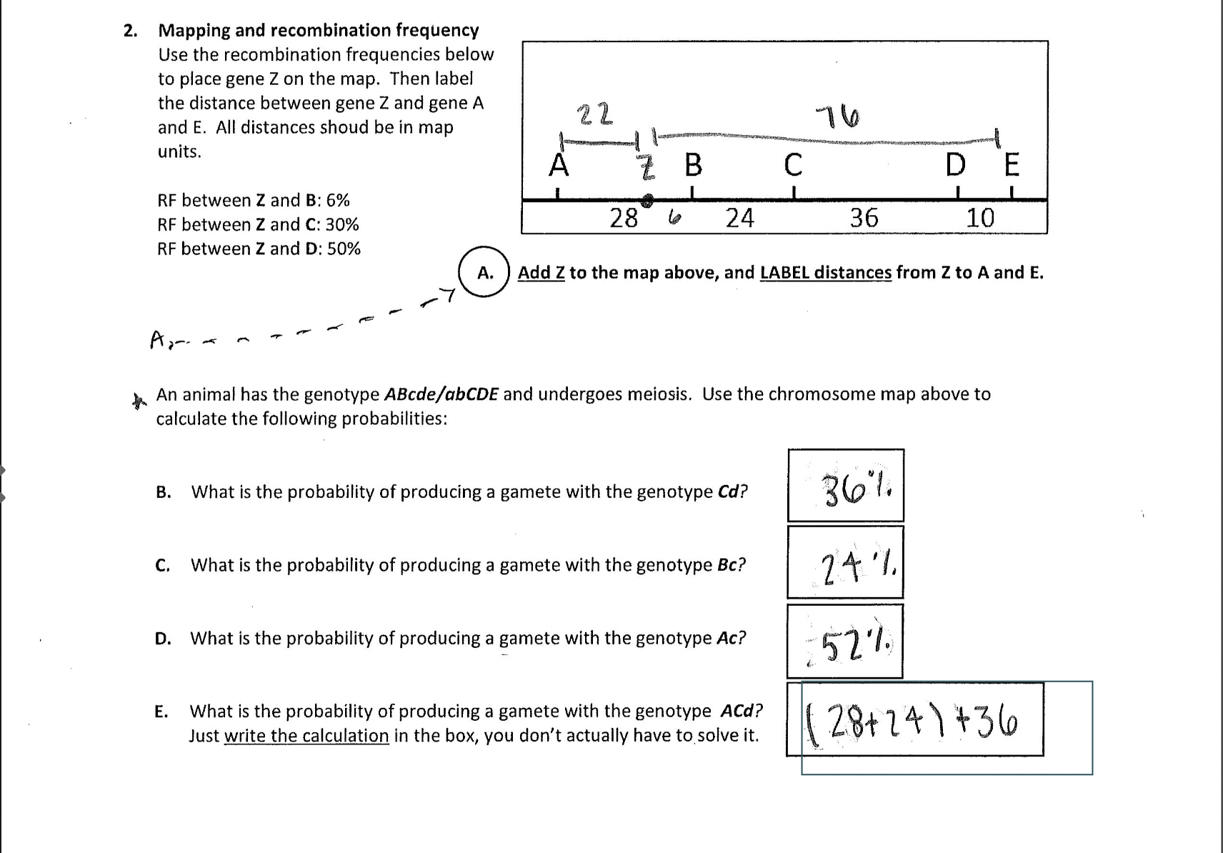 Solved Mapping and recombination frequencyUse the | Chegg.com