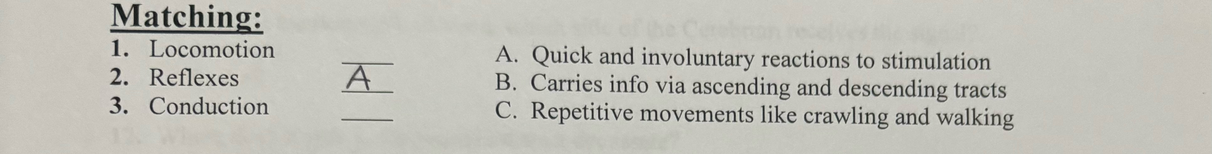 Solved Matching:LocomotionReflexesA. ﻿Quick and involuntary | Chegg.com