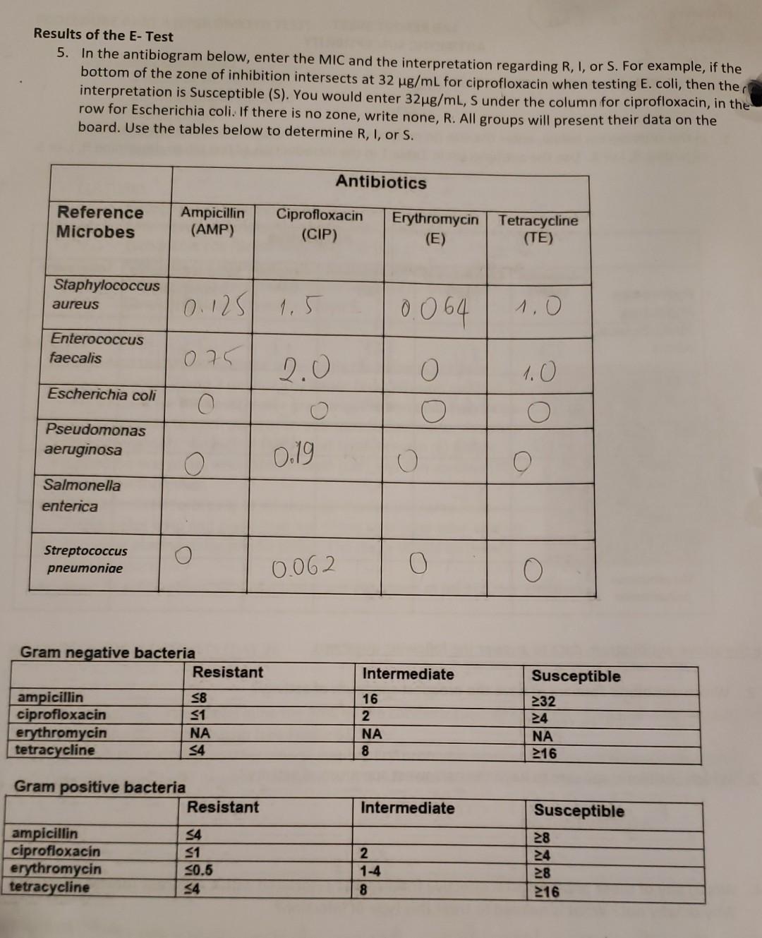 Results of the E- Test 5. In the antibiogram below, | Chegg.com