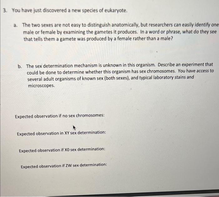 Solved You have just discovered a new species of eukaryote. | Chegg.com