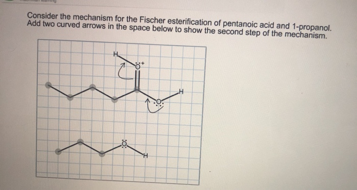 Solved Consider the mechanism for the Fischer esterification | Chegg.com