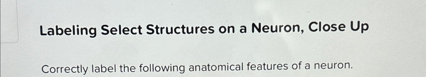 Solved Labeling Select Structures on a Neuron, Close | Chegg.com