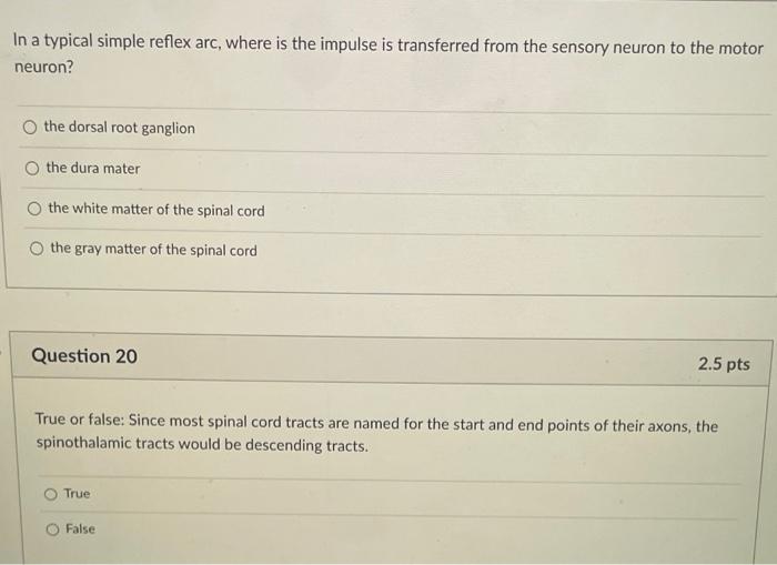 Solved In a typical simple reflex arc, where is the impulse | Chegg.com