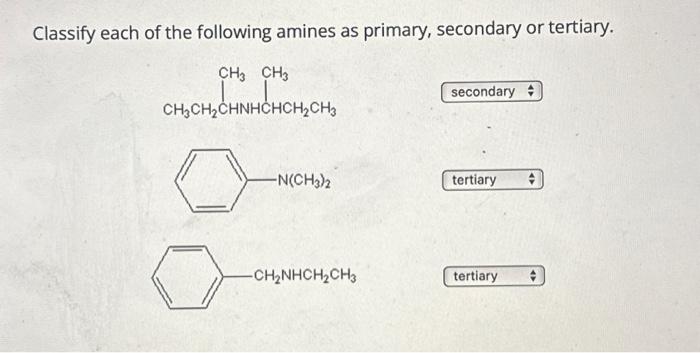 Solved Classify each of the following amines as primary, | Chegg.com