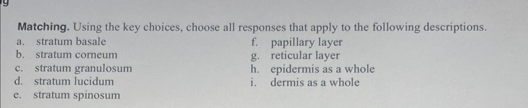 Solved Matching. Using the key choices, choose all responses | Chegg.com