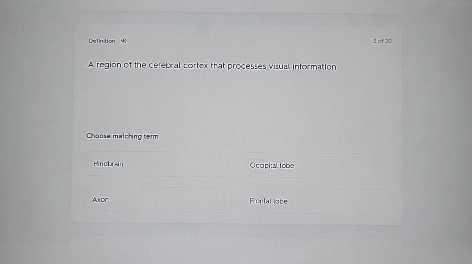 Solved Definition3 ﻿or 20A region of the cerebral cortex | Chegg.com