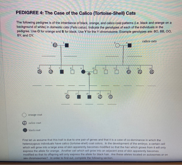 Solved PLEASE HELP ASAP!! Thank gou so much. I nerd these | Chegg.com