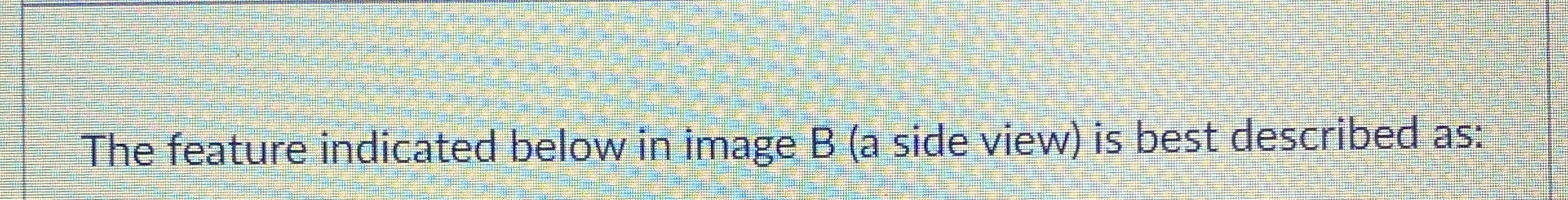 Solved The feature indicated below in image B (a side view) | Chegg.com