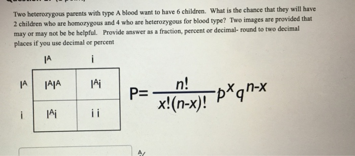Solved Two heterozygous parents with type A blood want to | Chegg.com