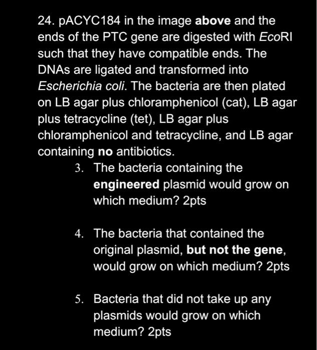 Solved 24. PACYC184 in the image above and the ends of the | Chegg.com
