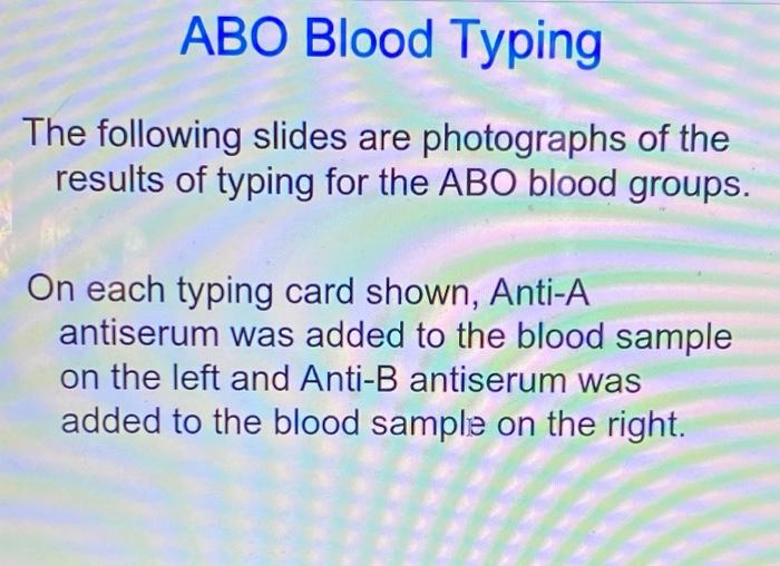 Solved ABO Blood Typing The following slides are photographs | Chegg.com