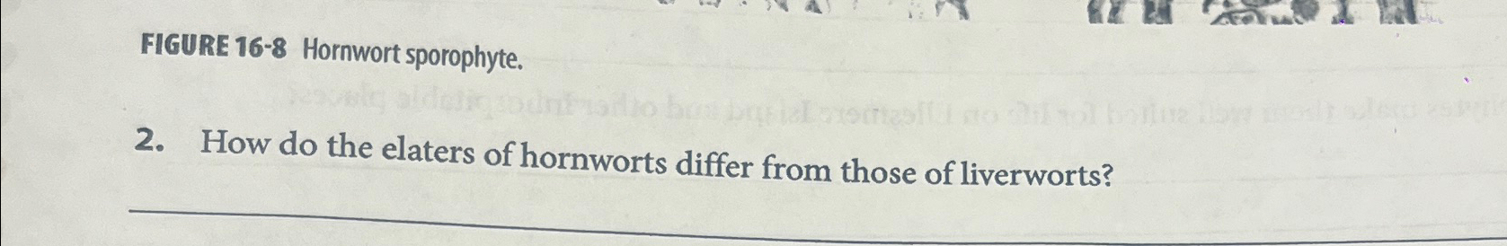 Solved FIGURE 16-8 ﻿Hornwort sporophyte.2. ﻿How do the | Chegg.com