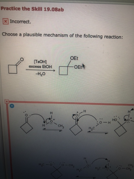 Solved Practice the Skill 19.08ab X Incorrect Choose a | Chegg.com