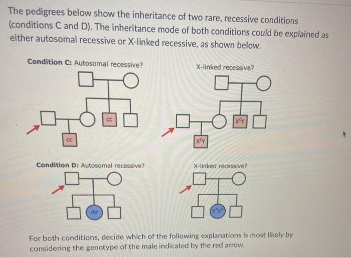 Solved The pedigrees below show the inheritance of two rare, | Chegg.com