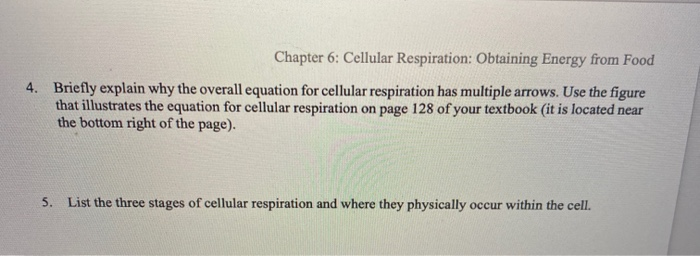 Solved Chapter 6: Cellular Respiration: Obtaining Energy | Chegg.com