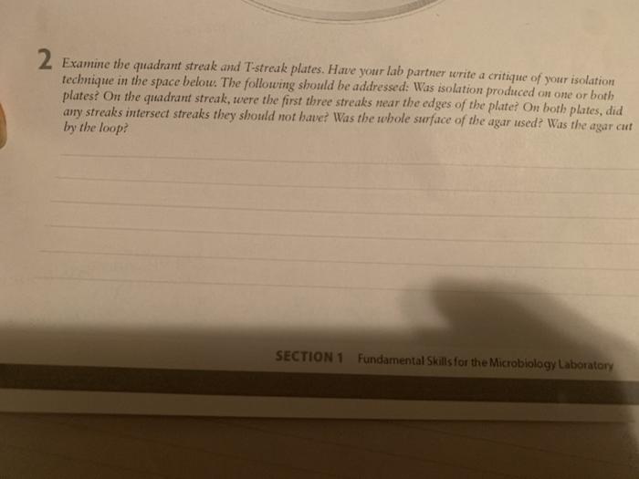 reme ww. Zig-zag streak plate Environment sample | Chegg.com