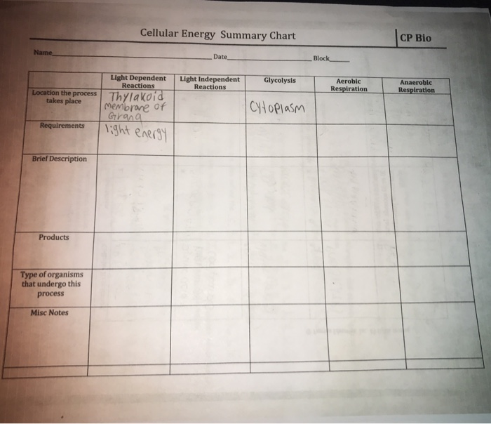 Solved Cellular Energy Summary Chart CP Bio Name Date_ Block | Chegg.com