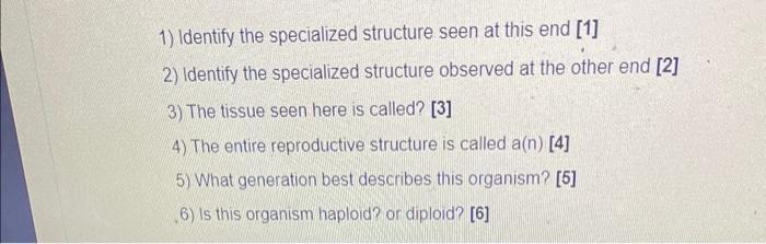 1) Identify the specialized structure seen at | Chegg.com