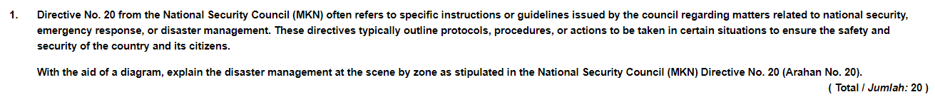 Solved Directive No. 20 ﻿from the National Security Council | Chegg.com