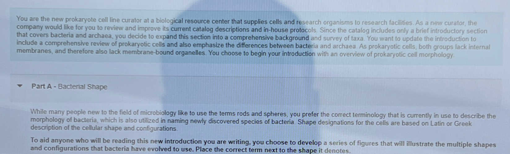 Solved You are the new prokaryote cell line curator at a | Chegg.com