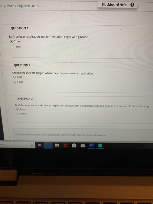 Solved Blackboard Help? Question Completion Status: QUESTION | Chegg.com