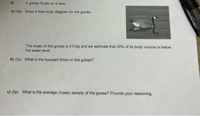 Solved a) (4p) Draw a free-body diagram for the goose. The | Chegg.com