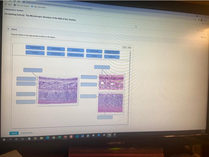 Rory Art-labeling Activity The Microscopic Structure | Chegg.com