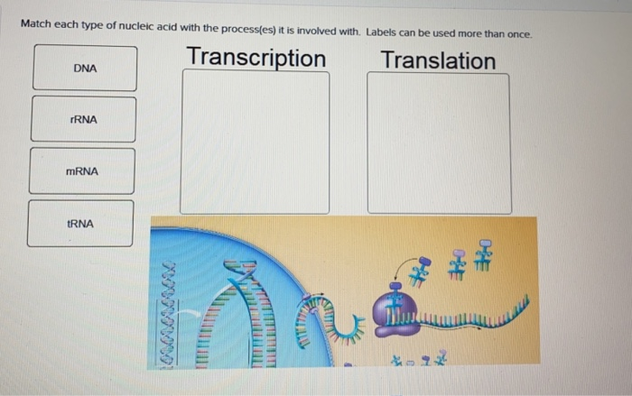 Solved Click and drag each label into the correct category | Chegg.com