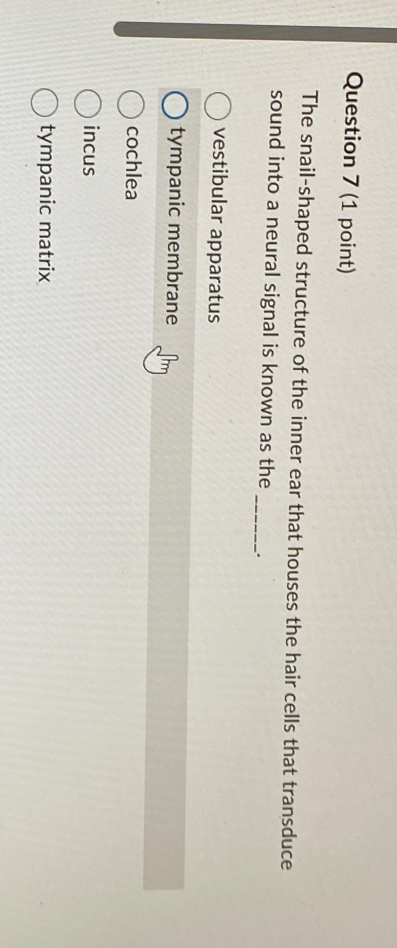Solved Question 7 (1 ﻿point)The snail-shaped structure of | Chegg.com