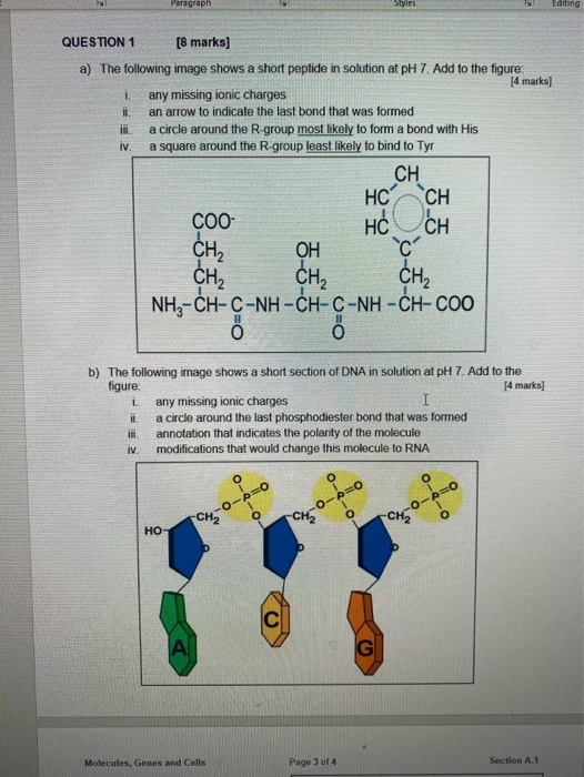 Solved Paragraph Styles Editing QUESTION 1 [8 marks) a) The | Chegg.com